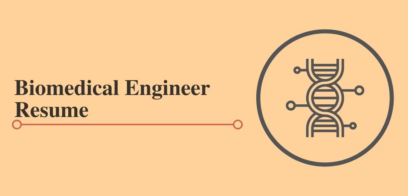 Biomedical Engineer Resume Template for Free in PDF- 2023